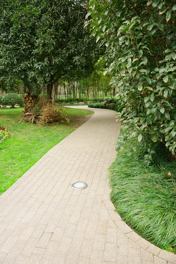 Path in Vertical Composition Stock Image - Image of bright, outdoors ...