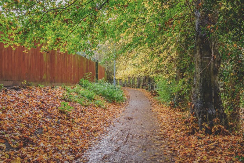 Mud Tracks Carpet Stock Photos - Free & Royalty-Free Stock Photos from ...