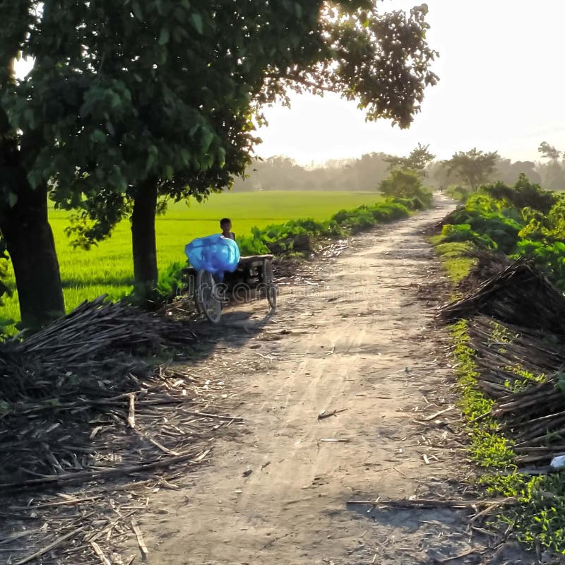 This Path is Very Hard at Sunsine Mood Stock Photo - Image of path ...