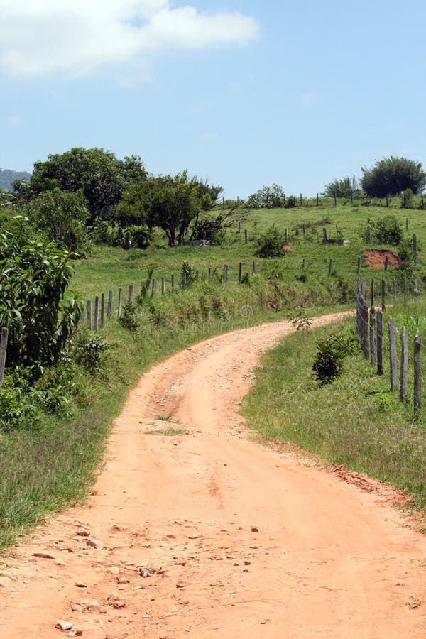Path view stock photo. Image of farm, farmland, farming - 23534604