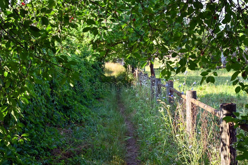 Path in the village stock image. Image of landscape - 251038151