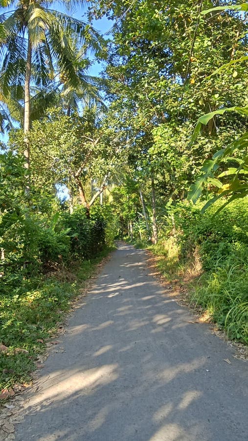 The Path in the Village, To Get To the City, Surrounded by Natural ...
