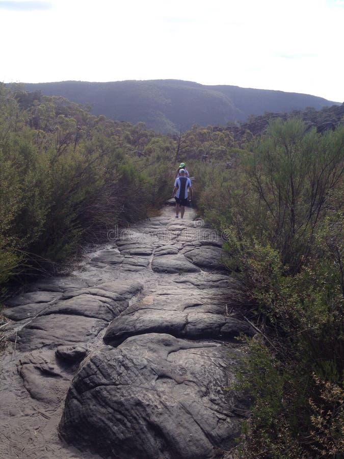 Path editorial image. Image of path, bush, rocks, walk - 46825840