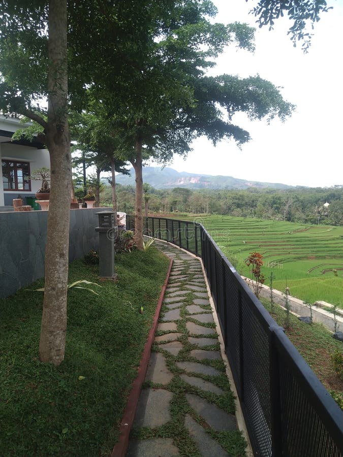 Path Walk Way, Backyard, Swimming Pool, Sawah Stock Image - Image of ...