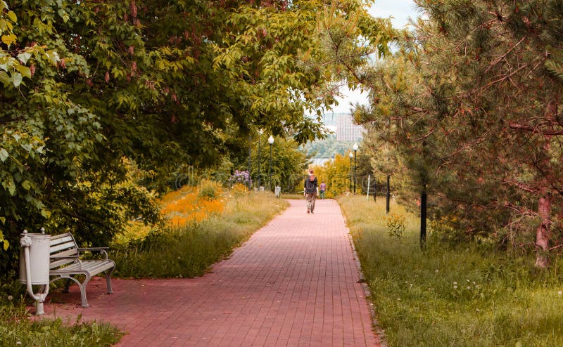 A Path for Walking in a City Park with Sunlight and Shadows. Silhouette ...
