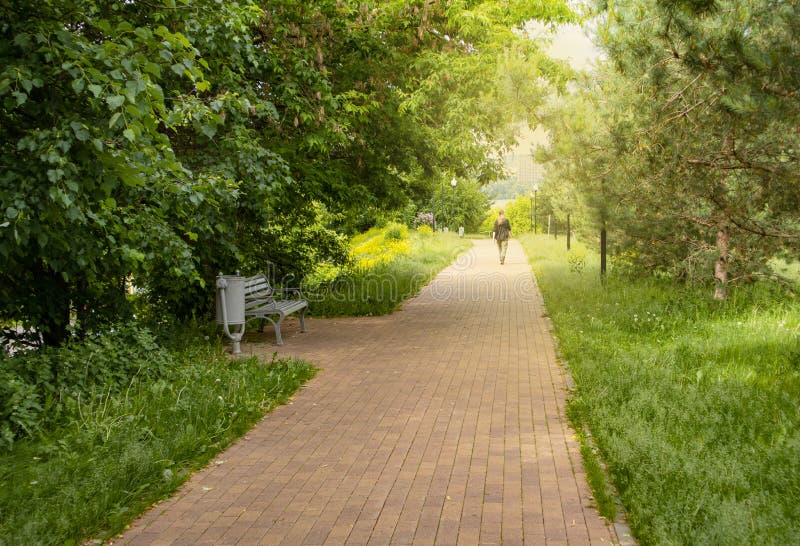 A Path for Walking in a City Park with Sunlight and Shadows. Silhouette ...