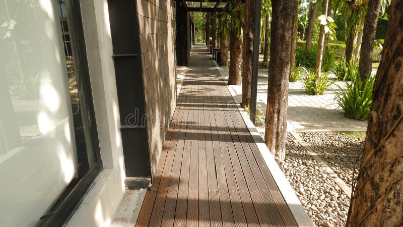 Path between Walls and Teak Trees (Tectona Grandis) Stock Image - Image ...