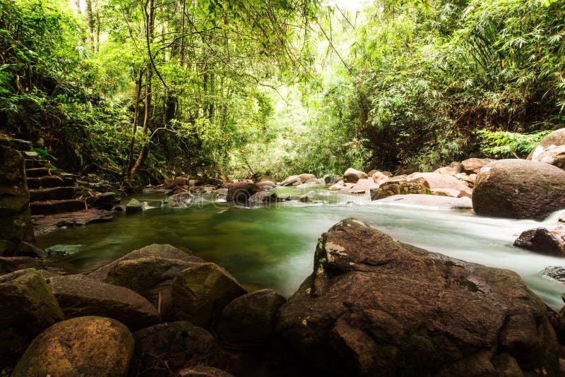 Path of Water from Uphill Down To River Stock Image - Image of forest ...