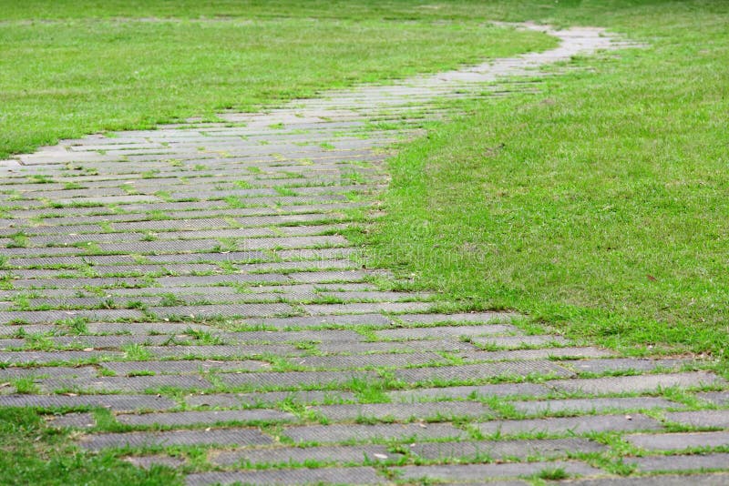 Path way on grass stock image. Image of alley, landscape - 20627667