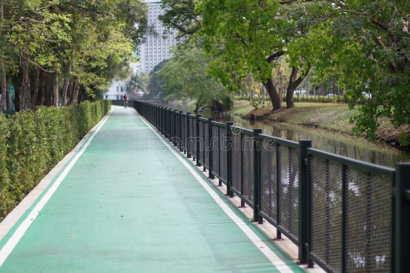 Path way green in garden stock photo. Image of natural - 92601930
