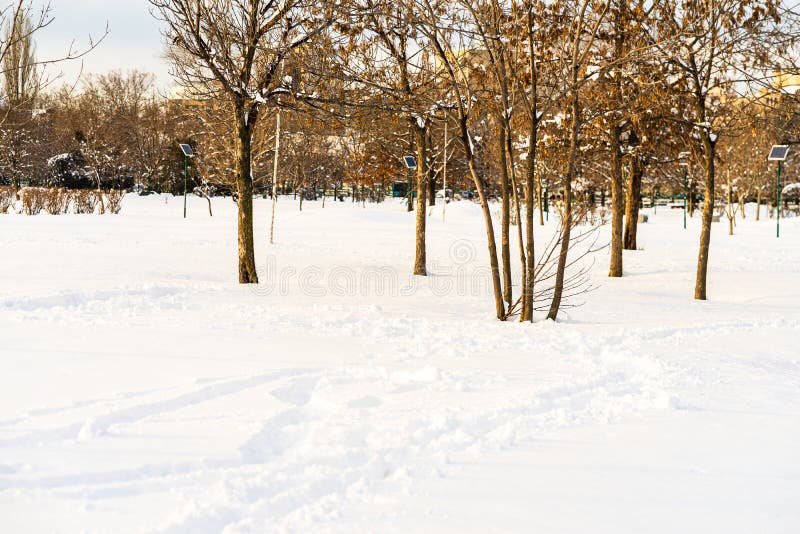 Path Way Made by People Walking Thru the Snow in the Park. Path in ...