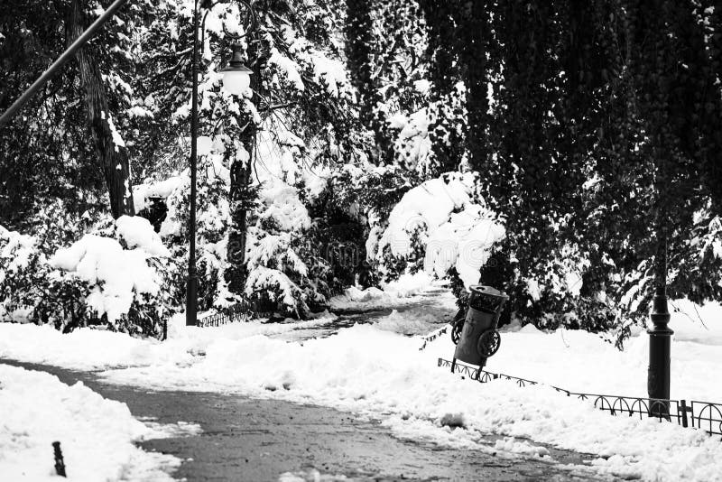 Path Way Made by People Walking Thru the Snow in the Park. Path in ...
