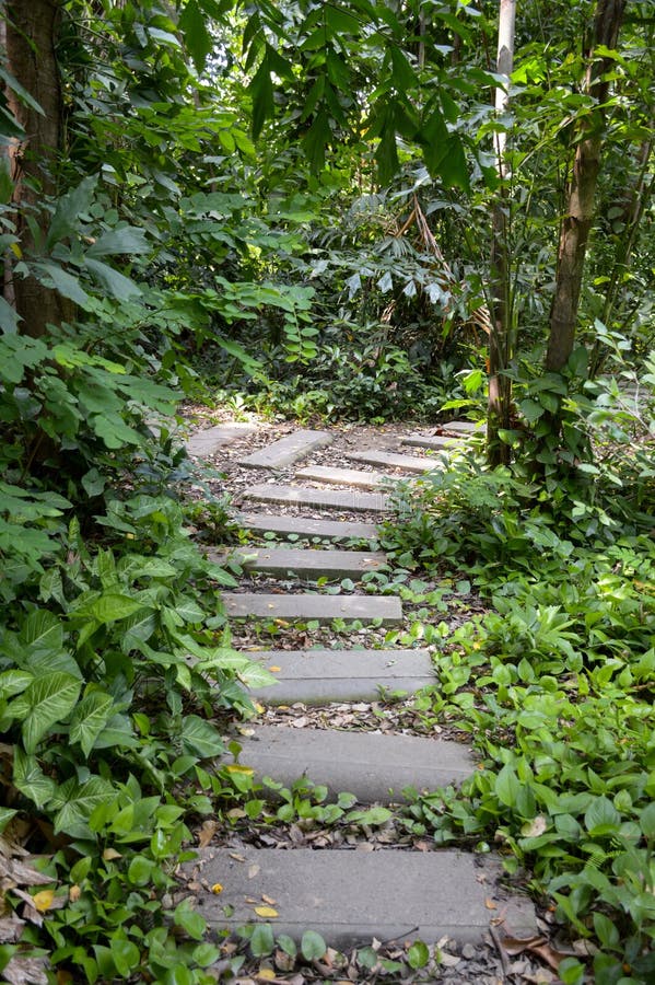 Path way in nature garden stock image. Image of nature - 74434325