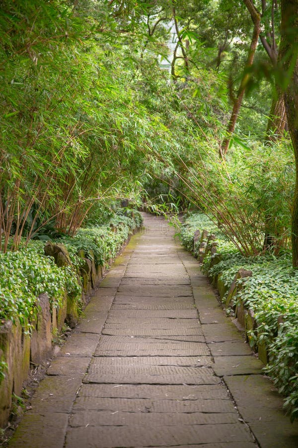 Path way stock photo. Image of wooden, wood, spring - 146775680