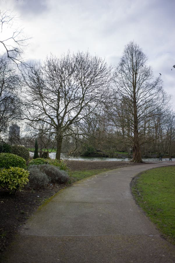 Path way in a park stock photo. Image of early, pathway - 87999346