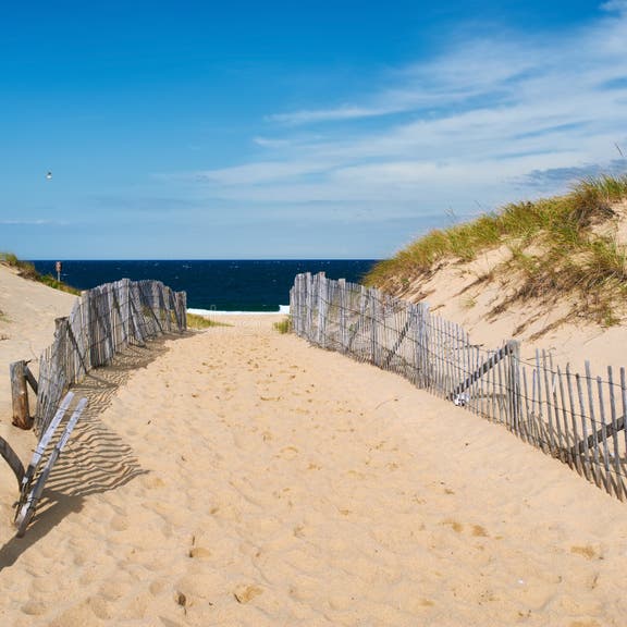 Path Way To the Beach at Cape Cod Stock Photo - Image of path, shore ...