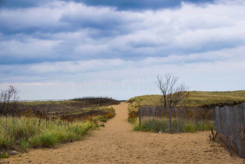 Path way to the ocean stock photo. Image of plants, trees - 61924154