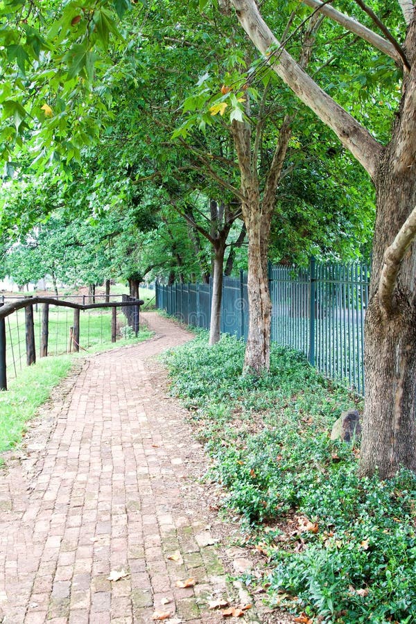 Path way with trees stock photo. Image of leaf, nature - 23347578