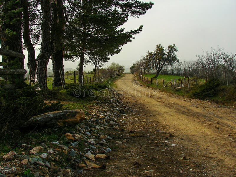 A Path Way and Trees in the Side Stock Image - Image of woodland, field ...