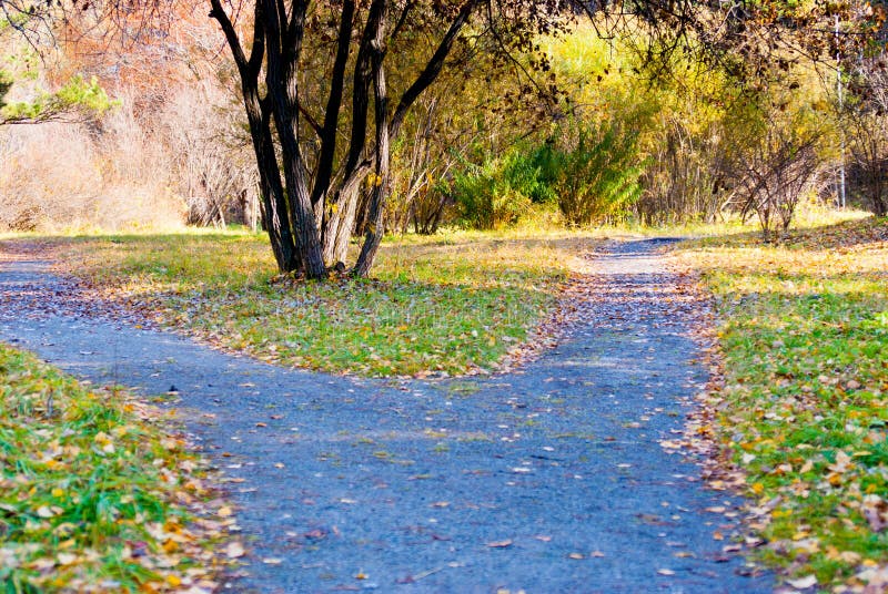 Path Way with Two Direction, Life Choice Concept Stock Photo - Image of ...