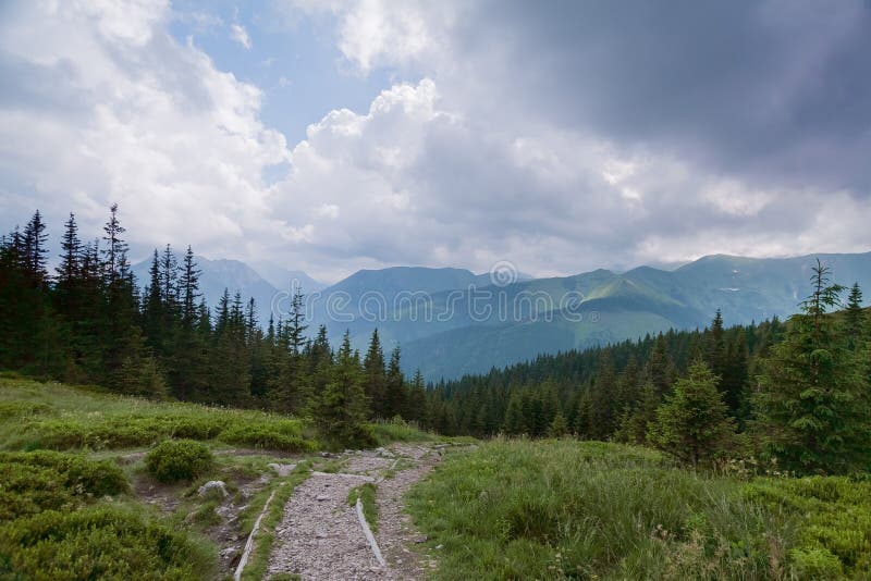 Path in West Tatra Mountains. Stock Photo - Image of road, chocholowska ...