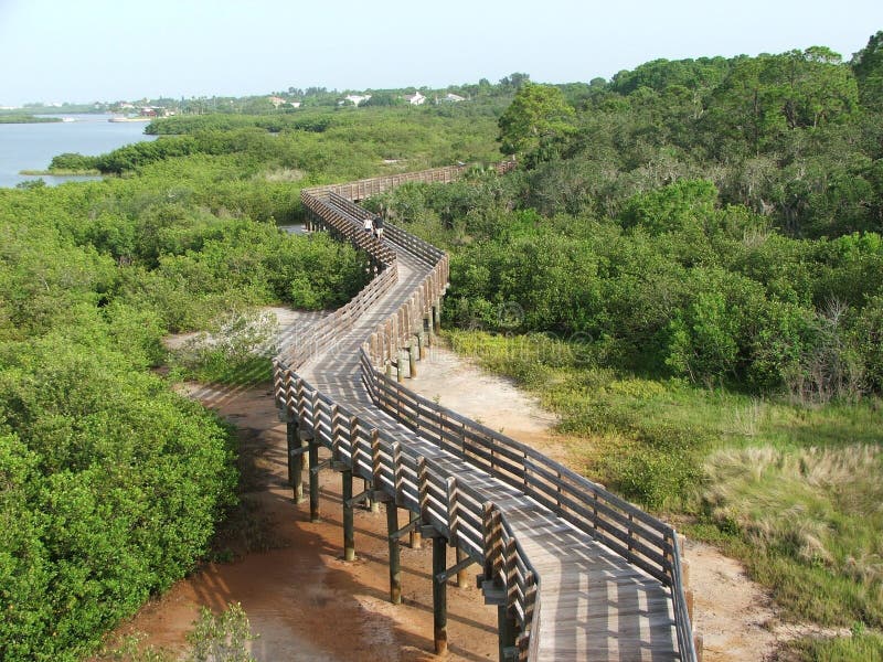Path through the Wilderness Stock Image - Image of sand, water: 1061443