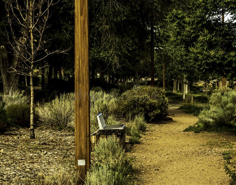 A Path Through The Wilderness Stock Photo - Image of nature, tree ...