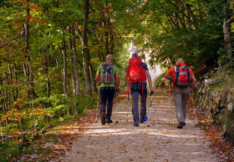 Path, Wilderness, Outdoor Recreation, Hiking Picture. Image: 113060850