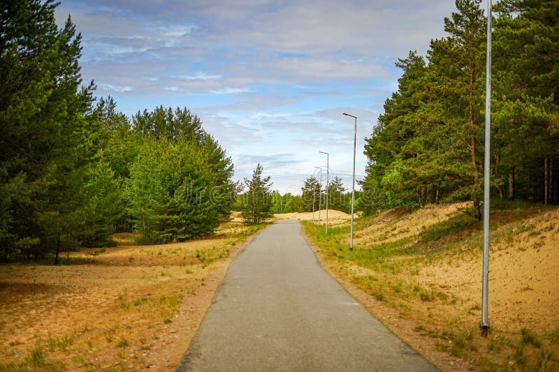 A Path Winding through a Forest with Trees and Sand Dunes on Either ...