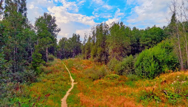 Path Winding through the Hills and Forest. August, Summer Stock Photo ...