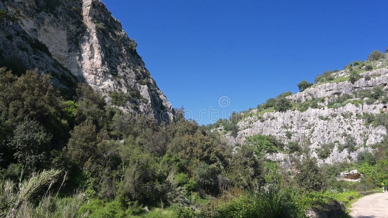 Path Winding through Steep Cliffs and Dense Greenery Stock Video ...