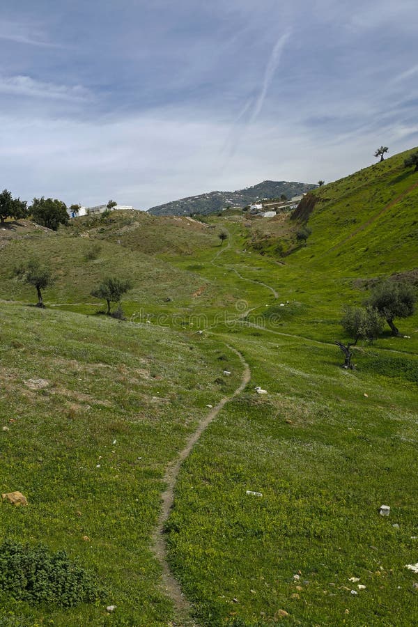 Path Winding Up in the Middle of Meadow Stock Image - Image of olive ...