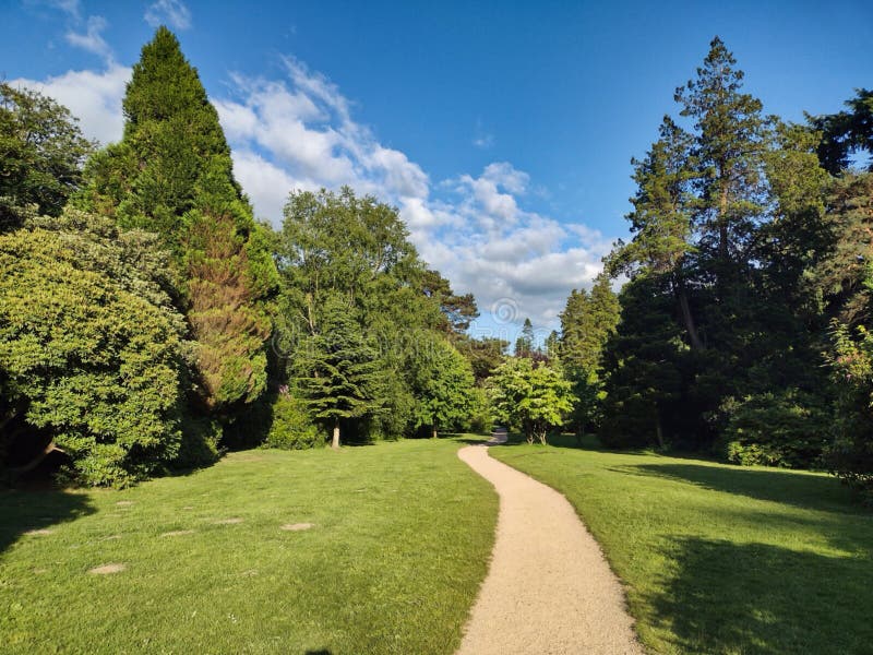 Path with Grass, Trees and Open Sky on a Sunny Day Stock Photo - Image ...