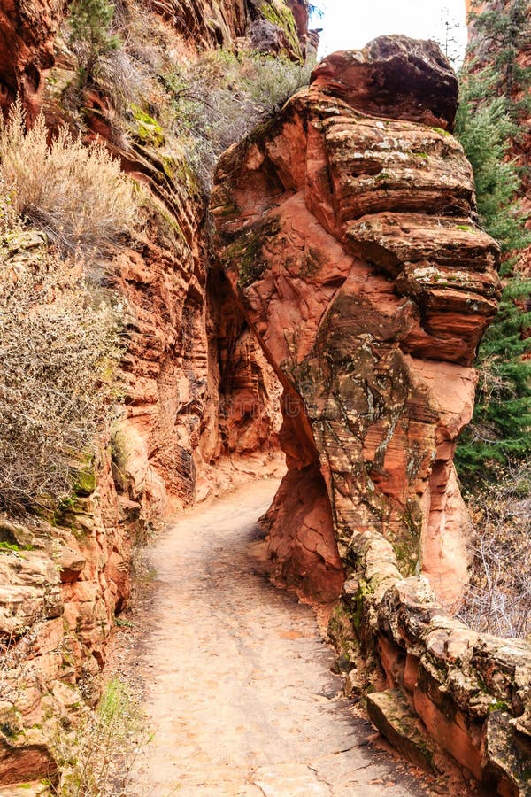 A Path Winds through a Lush Green Forest with a View of a Town in the ...