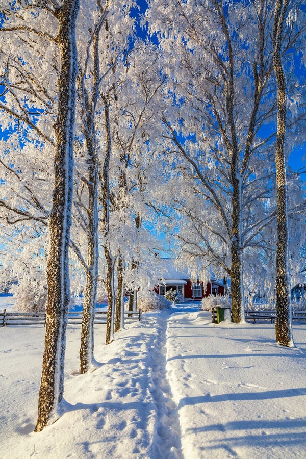 Path in a Wintry Landscape To a Cottage Stock Image - Image of tree ...