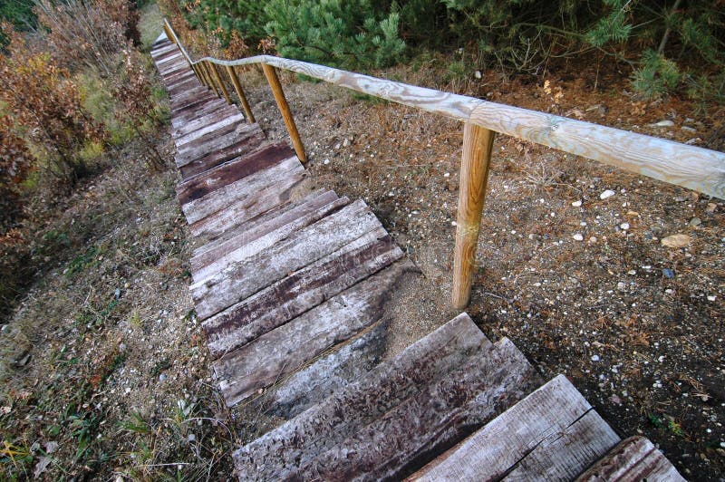 Path, Wood, Woodland, Walkway Picture. Image: 131083129