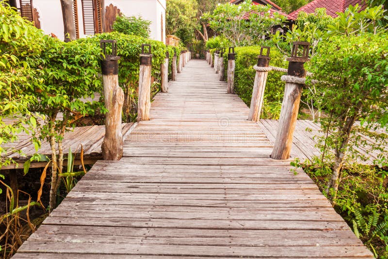 Path with wooden bridge stock image. Image of leaves - 42155907