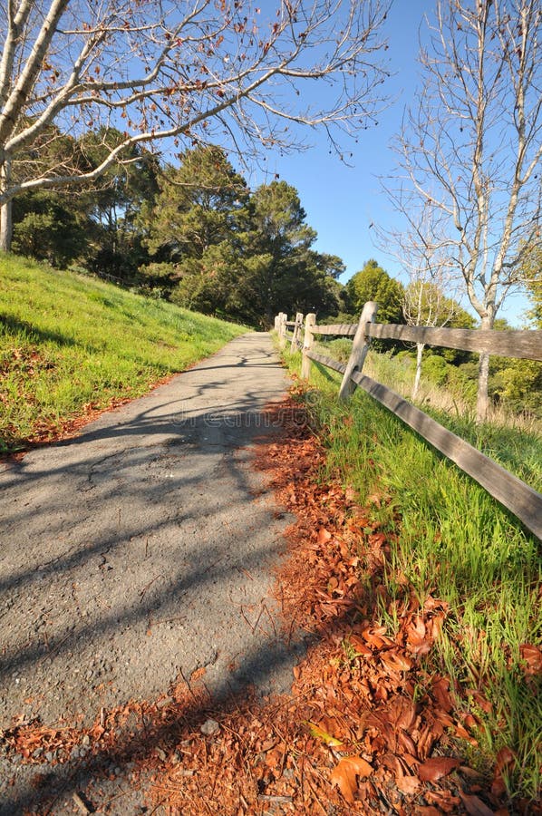 Path with a Wooden Fence and Trees Stock Image - Image of trees, space ...