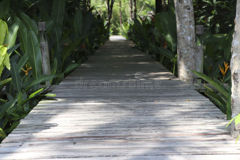 The Path that is a Wooden Floor is a Long Way Forward. Stock Image ...