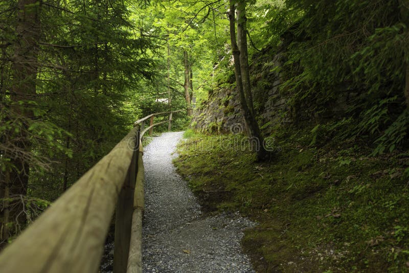 Path with Wooden Railing in the Forest Stock Image - Image of travel ...