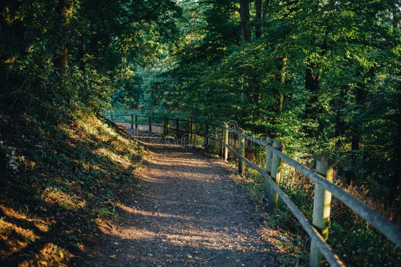 Path with Wooden Railings in a Shaded Area of the Woods Stock Image ...