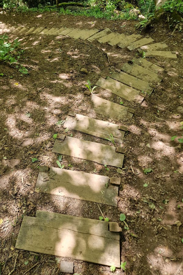 Path with Wooden Steps in Sunny Day Stock Image - Image of outdoor ...