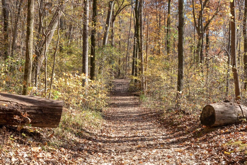 251 Split Path Woods Stock Photos - Free & Royalty-Free Stock Photos ...