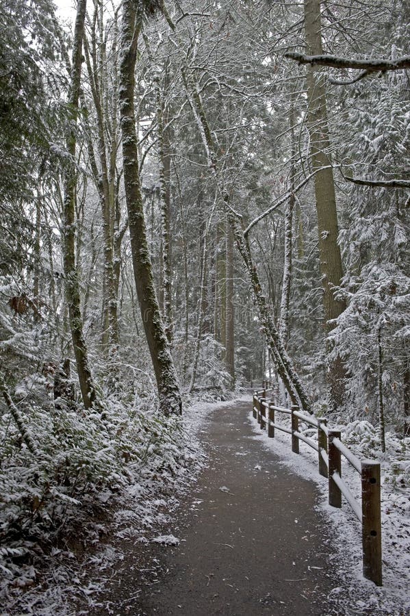 Path through the woods. stock image. Image of railings - 7452149