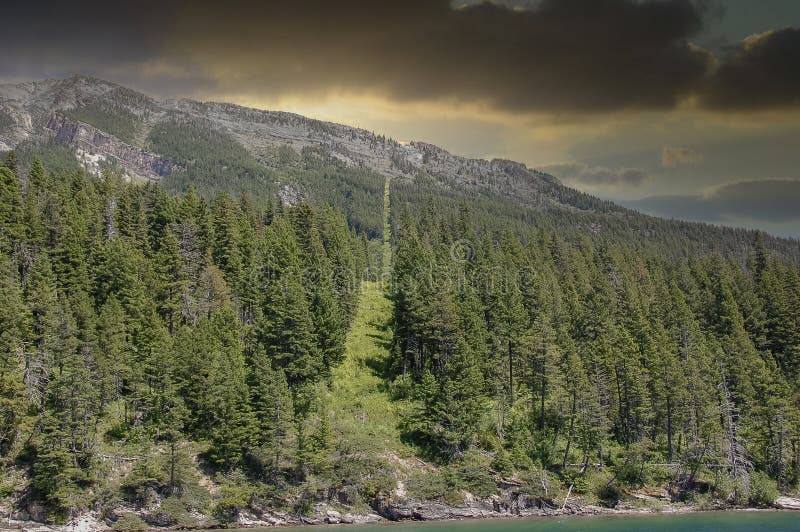 A Path in the Woods in the Canadian Forest Stock Image - Image of alps ...