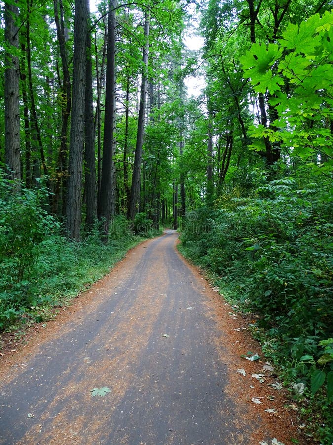 Path through woods stock photo. Image of path, ranch - 120927640