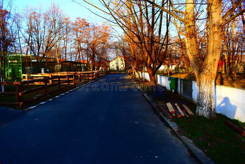 A path through the zoo stock image. Image of visitramnicuvalcea - 174141359