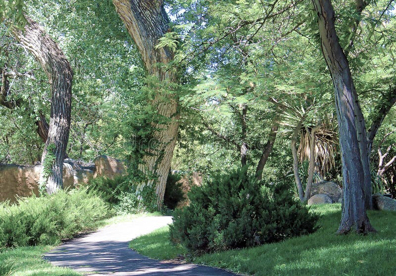 Path in Zoo stock image. Image of plants, bushes, pathway - 108283357