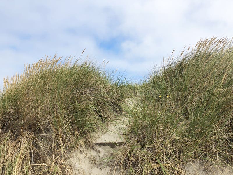 Pathin the Sand Dunes on Vlieland Stock Photo - Image of europe, sand ...