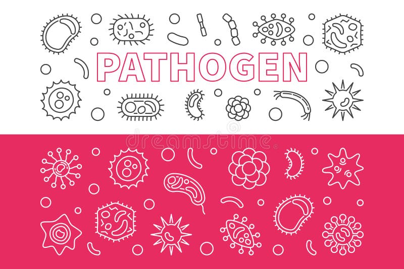 Pathogen Banners Set. Vector Outline Illustration Stock Vector ...